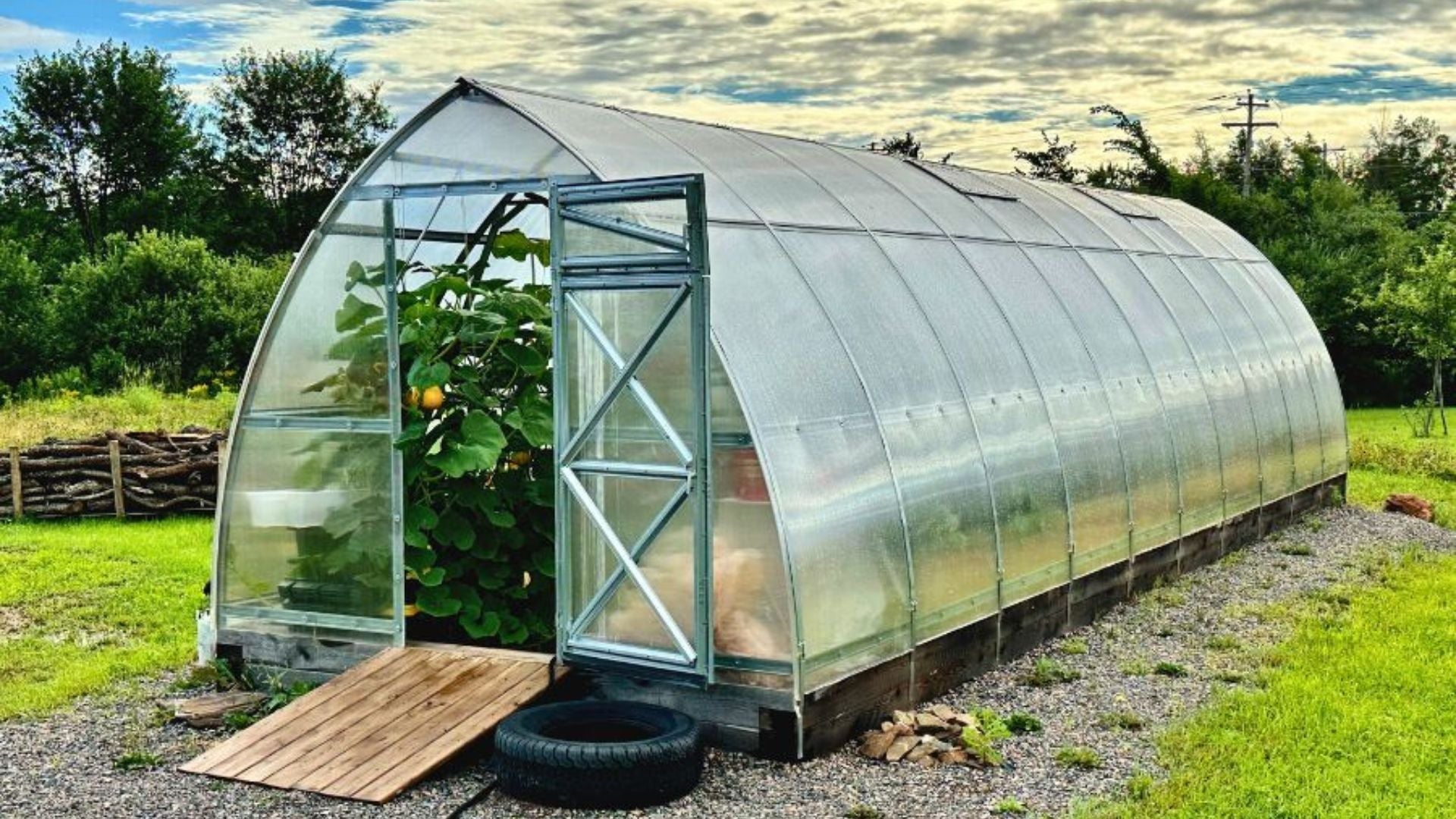 Comparing Backyard Greenhouses: Why Gardeners Choose Planta – Planta ...