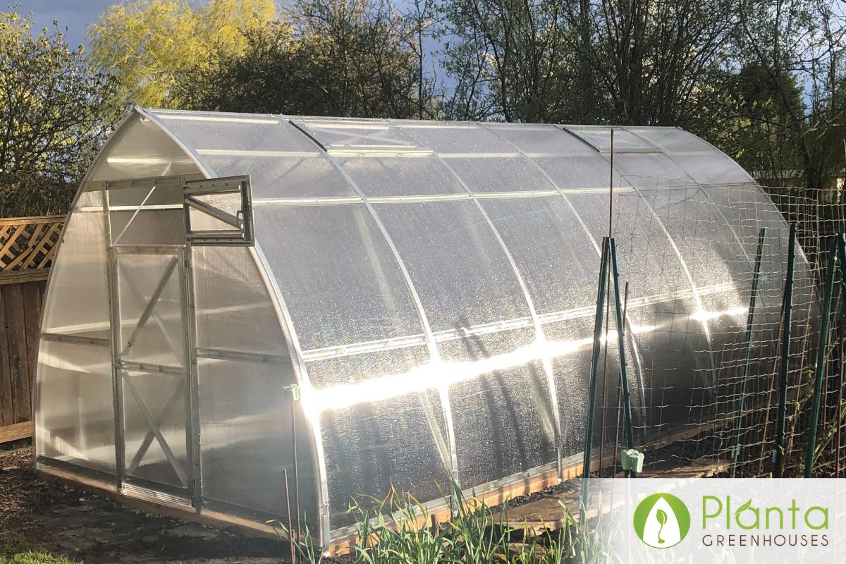 Great quality for the $ – Planta Greenhouses EU